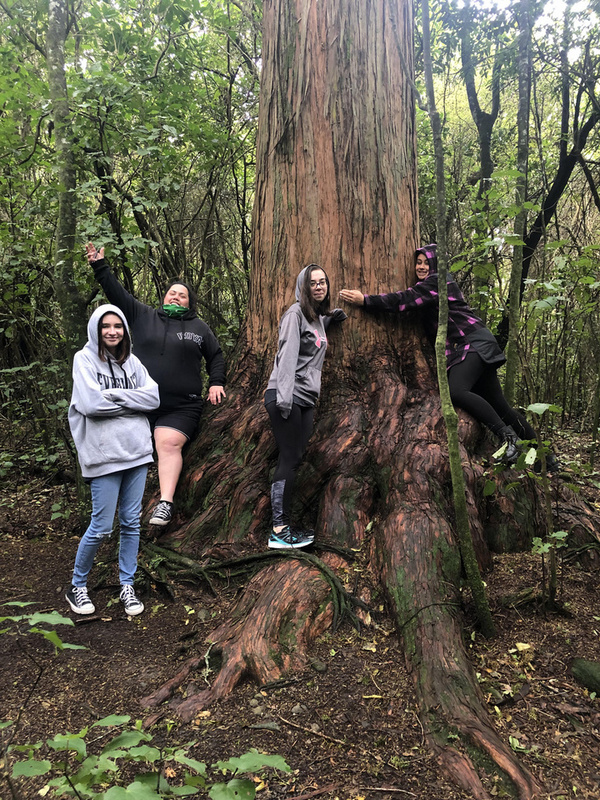 Introducing Kare Toa Te H O M tauranga Learning In Kaikoura